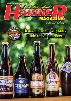 Beer, Glorious Beer! :: BMPH3
